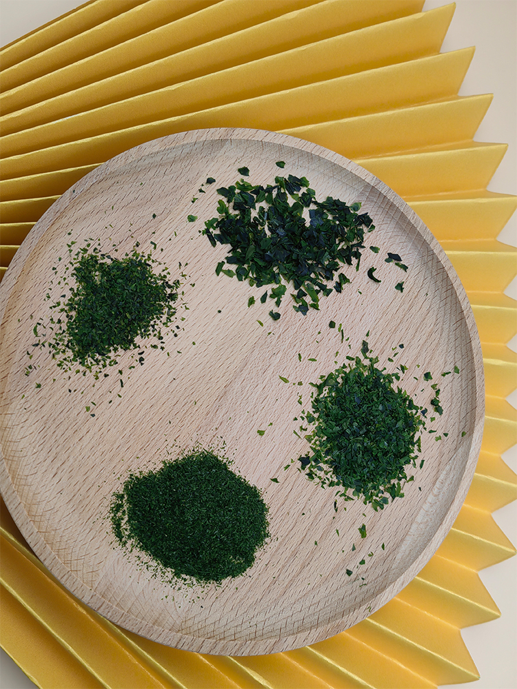 Dried seaweed Ulva Pertusa